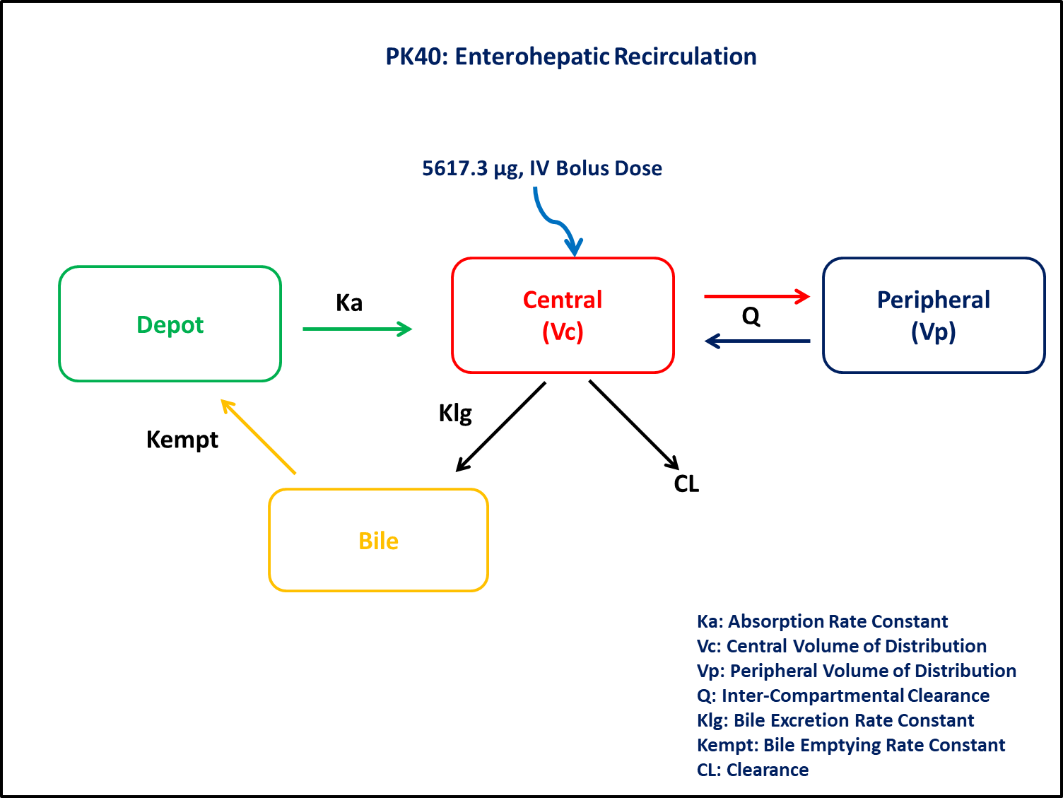 PK40 - Multi-compartment model with Enterohepatic Recirculation after ...
